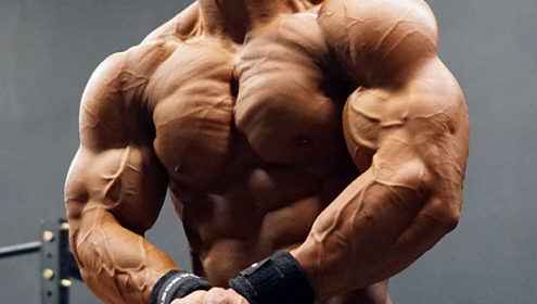 Tip: The Bro-Assisted Chest Builder