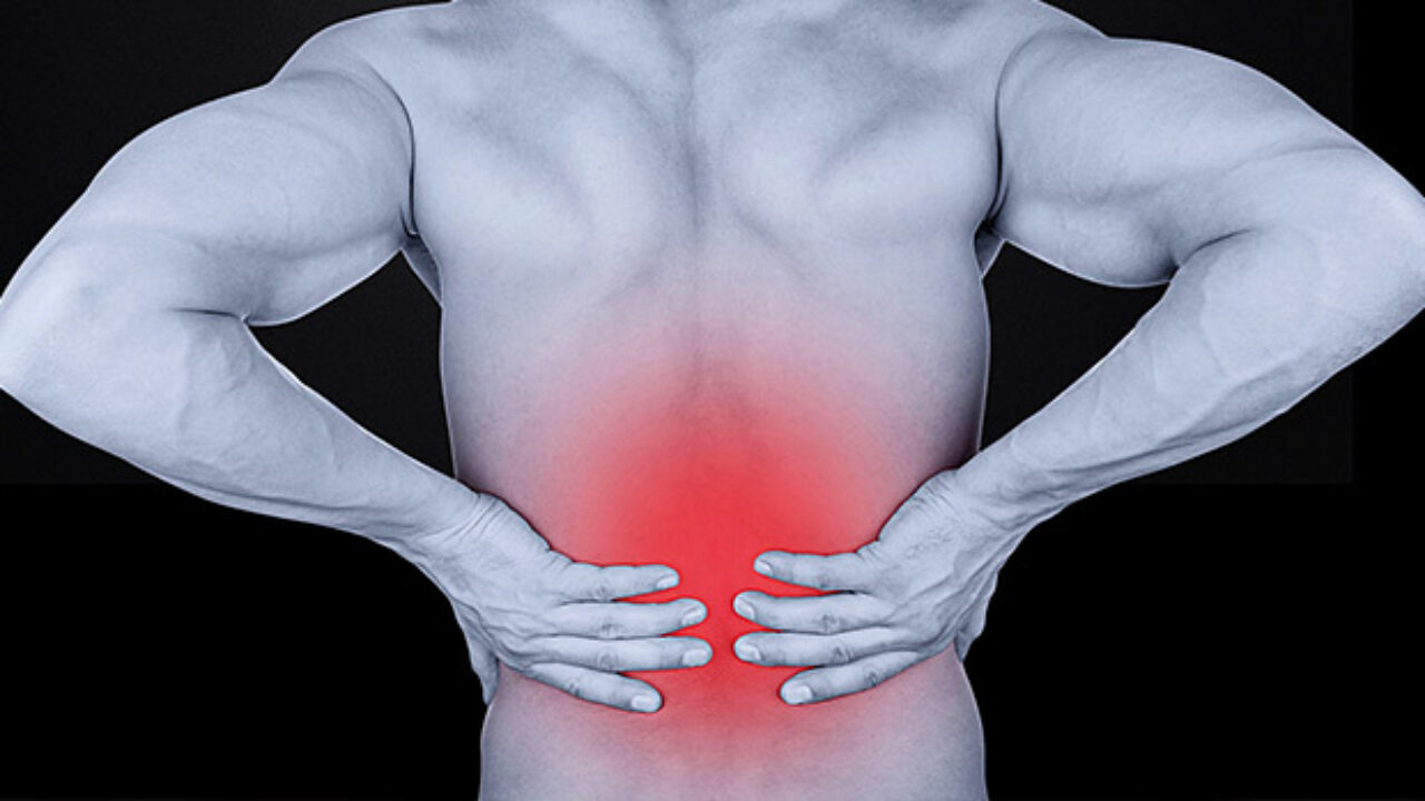 Anterior Pelvic Musles Tight Hamstrings? — Jan Active Therapy