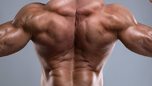 Tip: A Tri-Set for Shoulder Health and Hypertrophy – T NATION by BIOTEST
