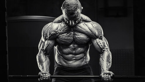 The Modified Push-Pull-Legs Split – T NATION by BIOTEST